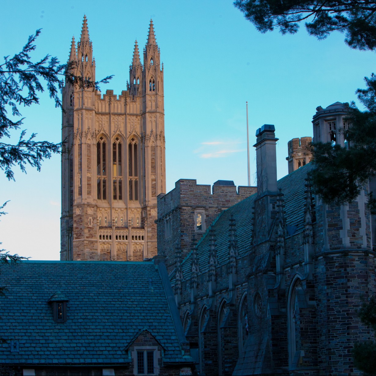 On (not) applying to grad school | Princeton Correspondents on ...