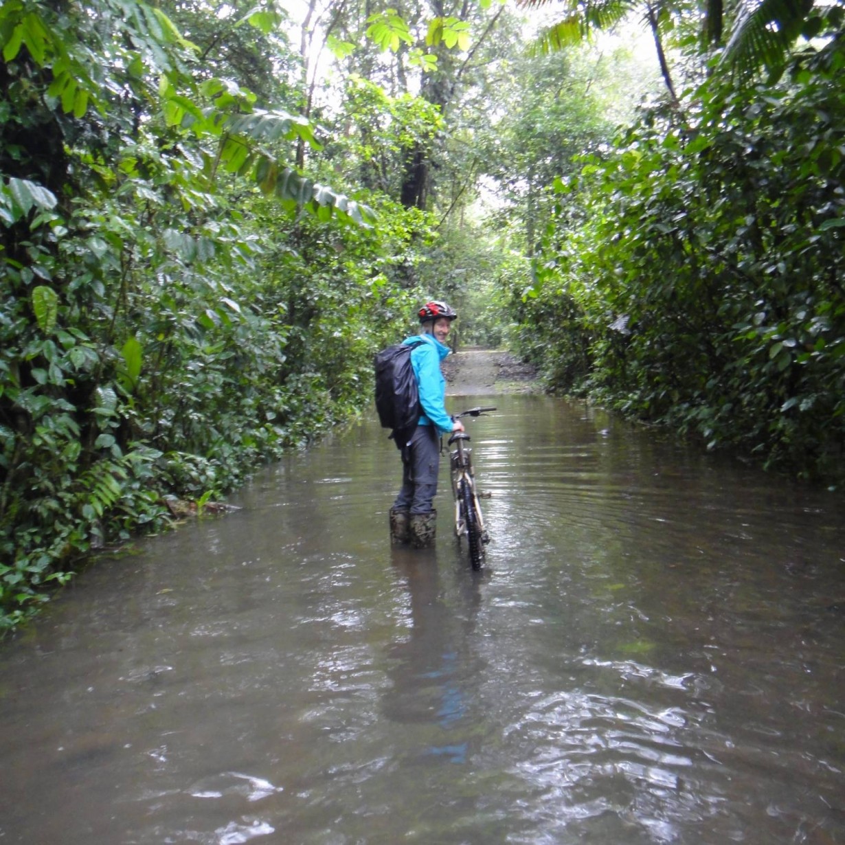 The Project That Made Me a Researcher: Rain in the rainforest ...