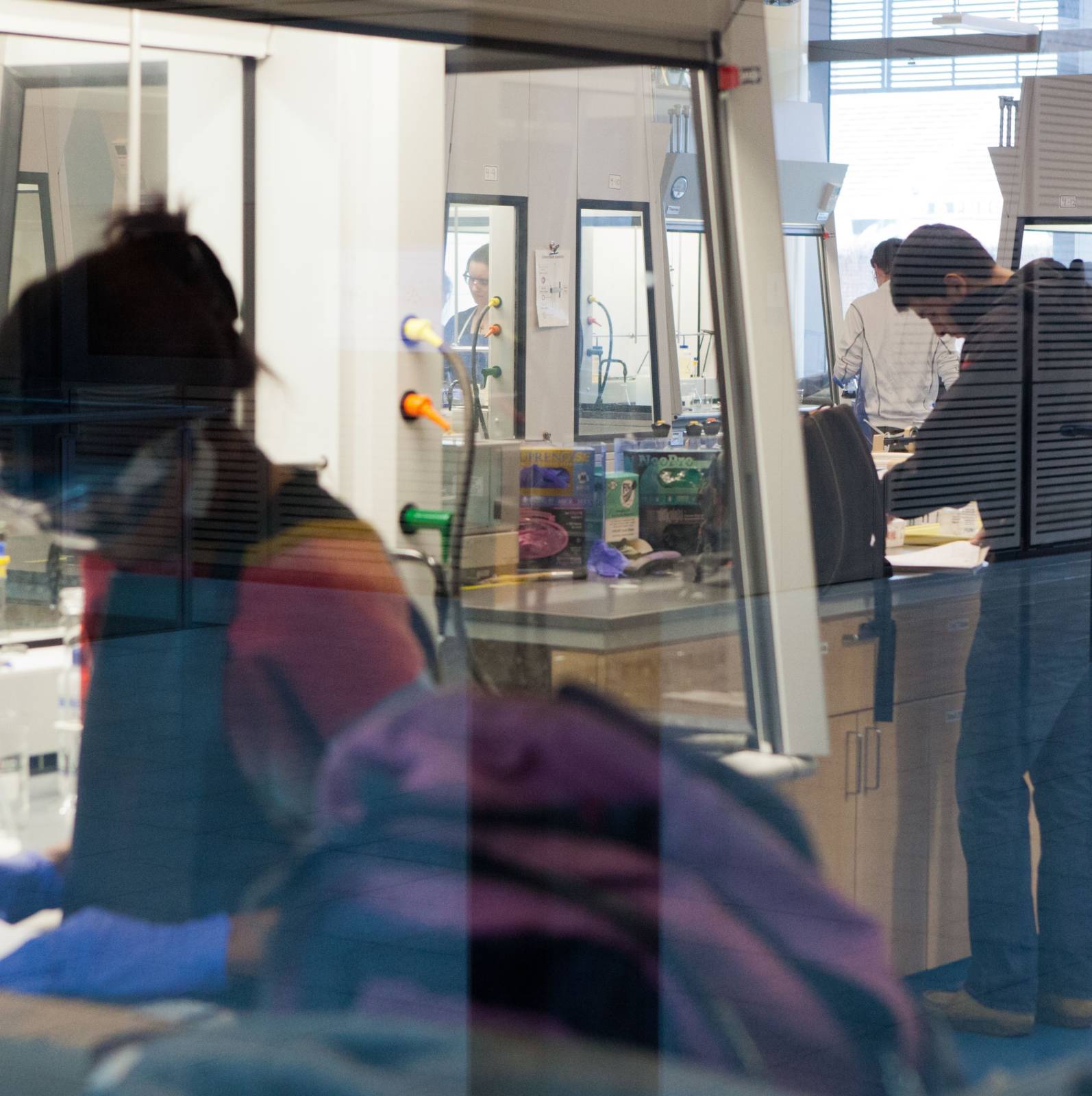 Preparing for a Lab-Heavy Semester | Princeton Correspondents on ...