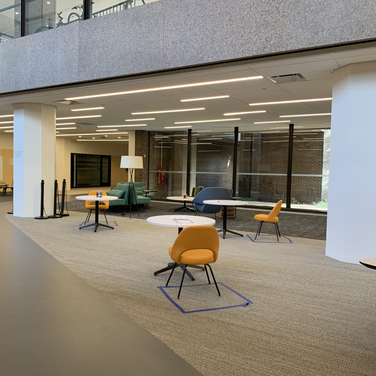 A Guide to Princeton Libraries during a Pandemic | Princeton ...