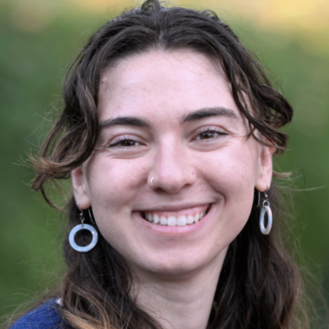 Princeton Correspondents on Undergraduate Research